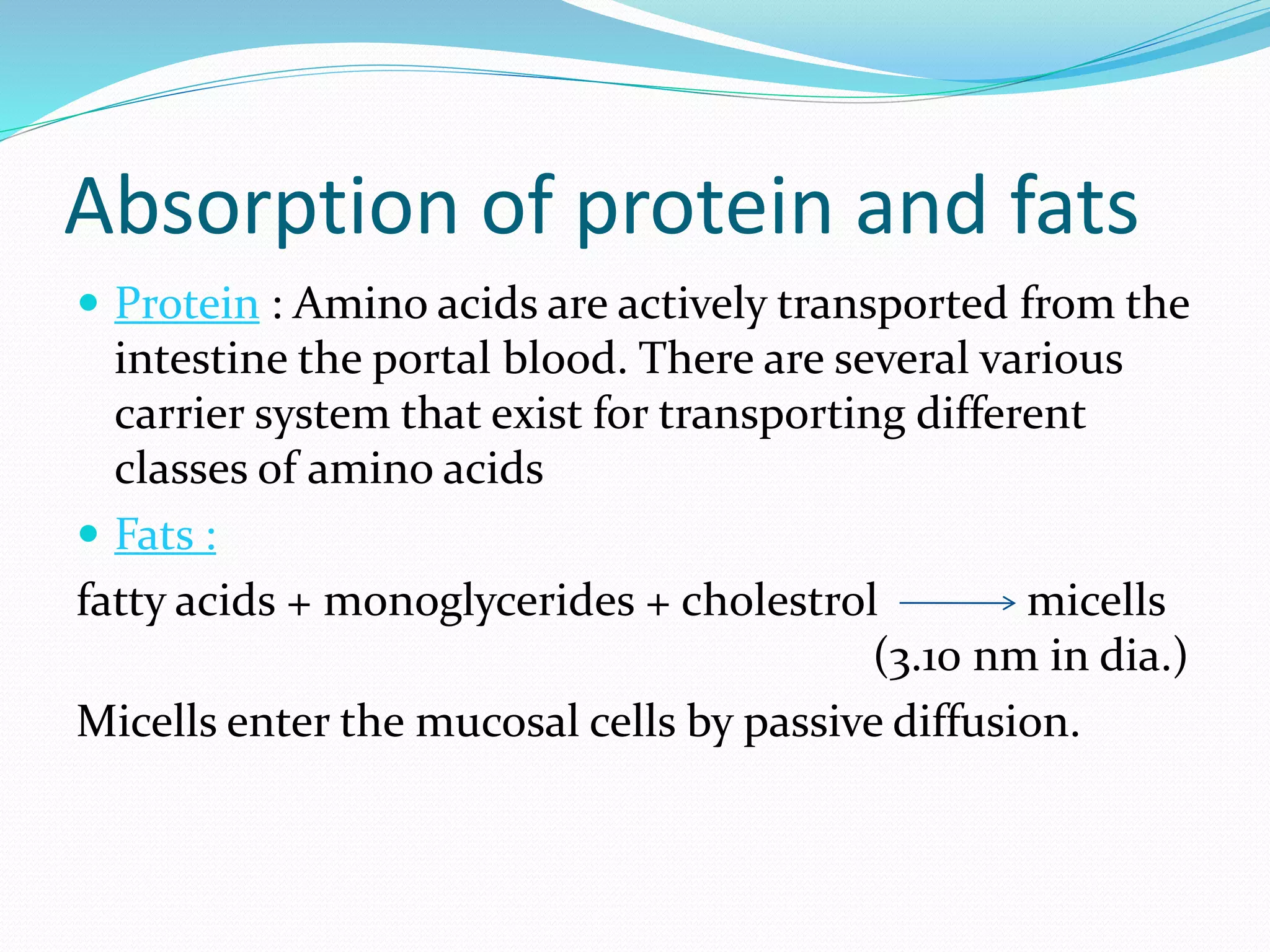 Physiology of digestion sj | PPTX