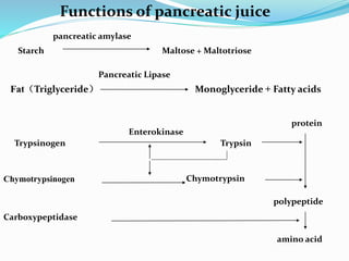 Physiology of digestion sj | PPTX
