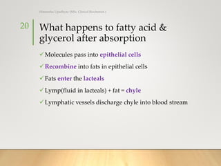 Physiology of digestive system | PPTX