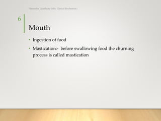 Physiology of digestive system | PPT