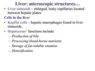 physiology of digestive system.ppt