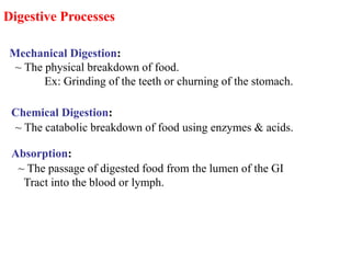 physiology of digestive system.ppt