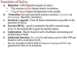 physiology of digestive system.ppt