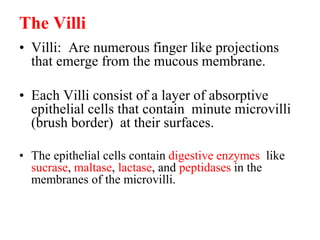 physiology of digestive system.ppt