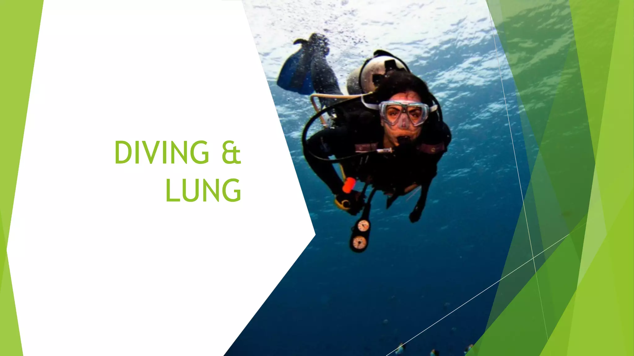 physiology of diving | PPT