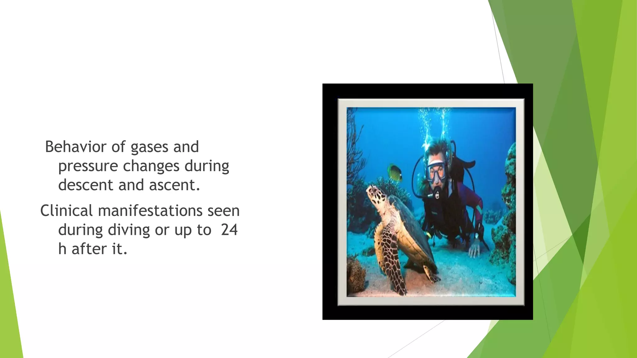 physiology of diving | PPT