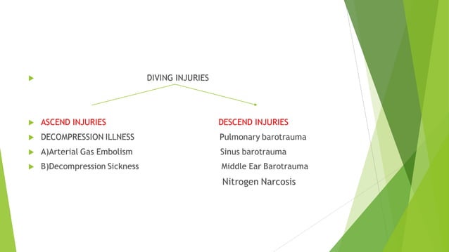 physiology of diving | PPT