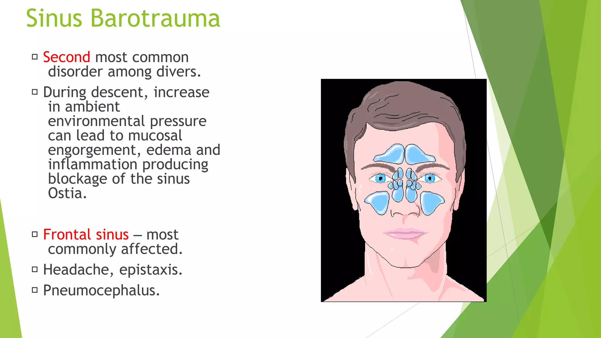 Diving Physiology | PPT
