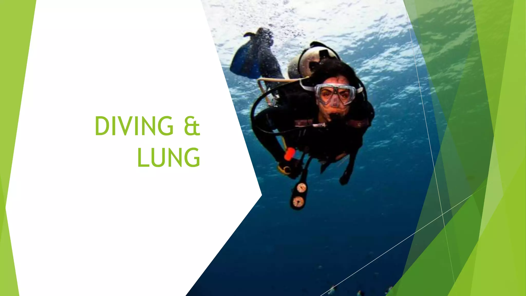 Diving Physiology | PPT