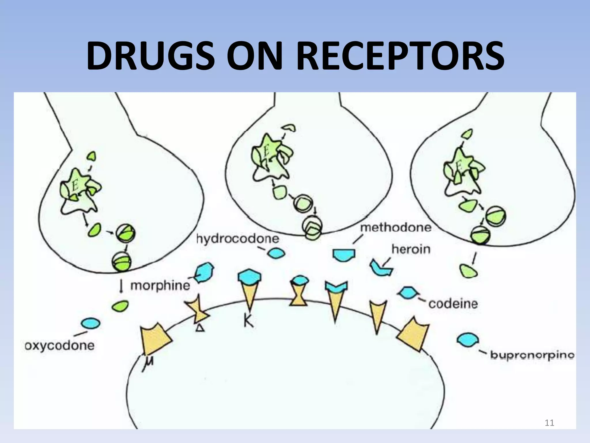 Physiology of drug addiction | PPTX