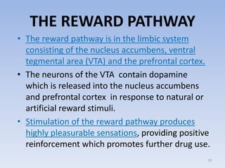 Physiology of drug addiction | PPTX