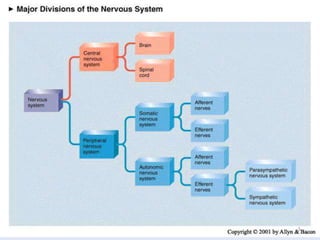 Physiology of drug addiction | PPTX