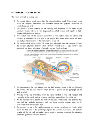 Physiology of ear | DOCX