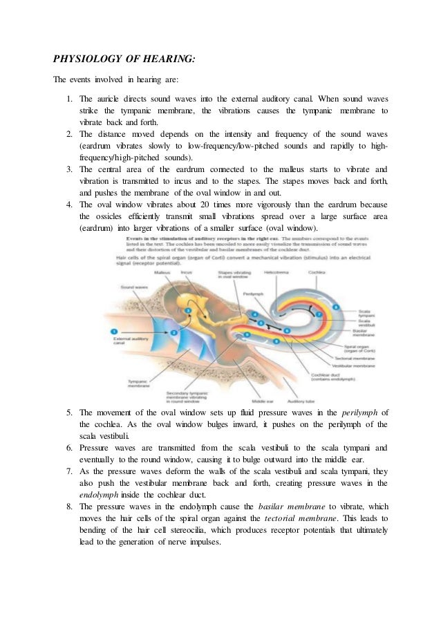 Physiology of ear