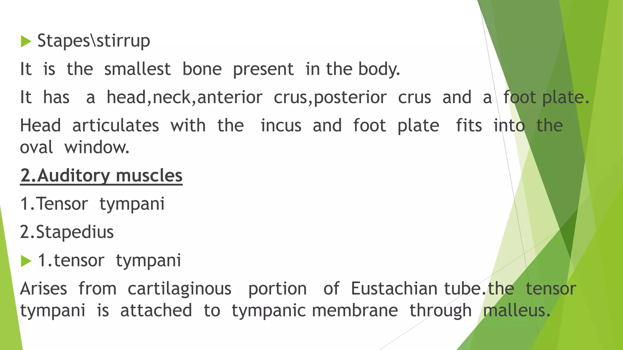 Physiology of ear | PPTX