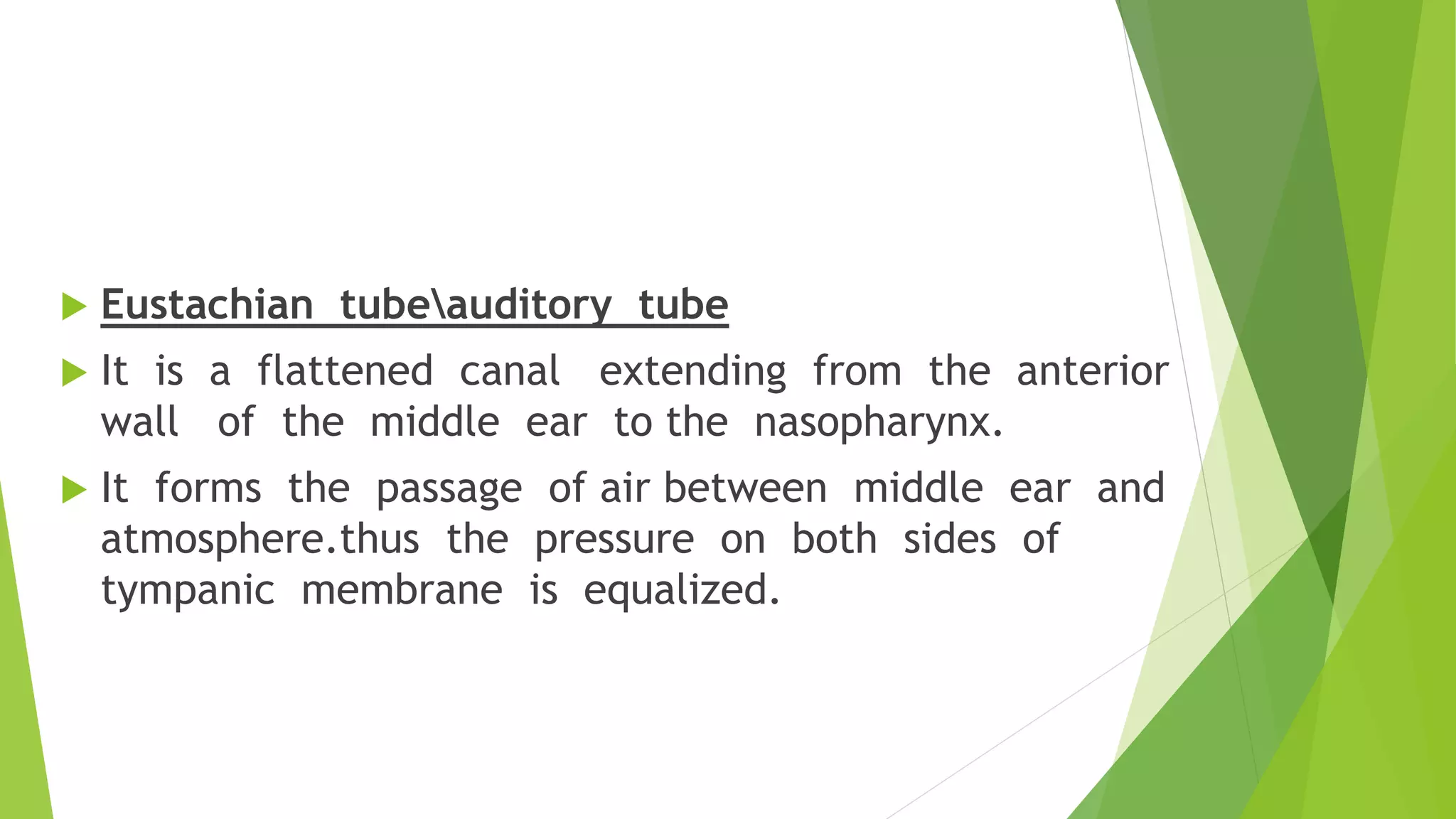 Physiology of ear | PPTX