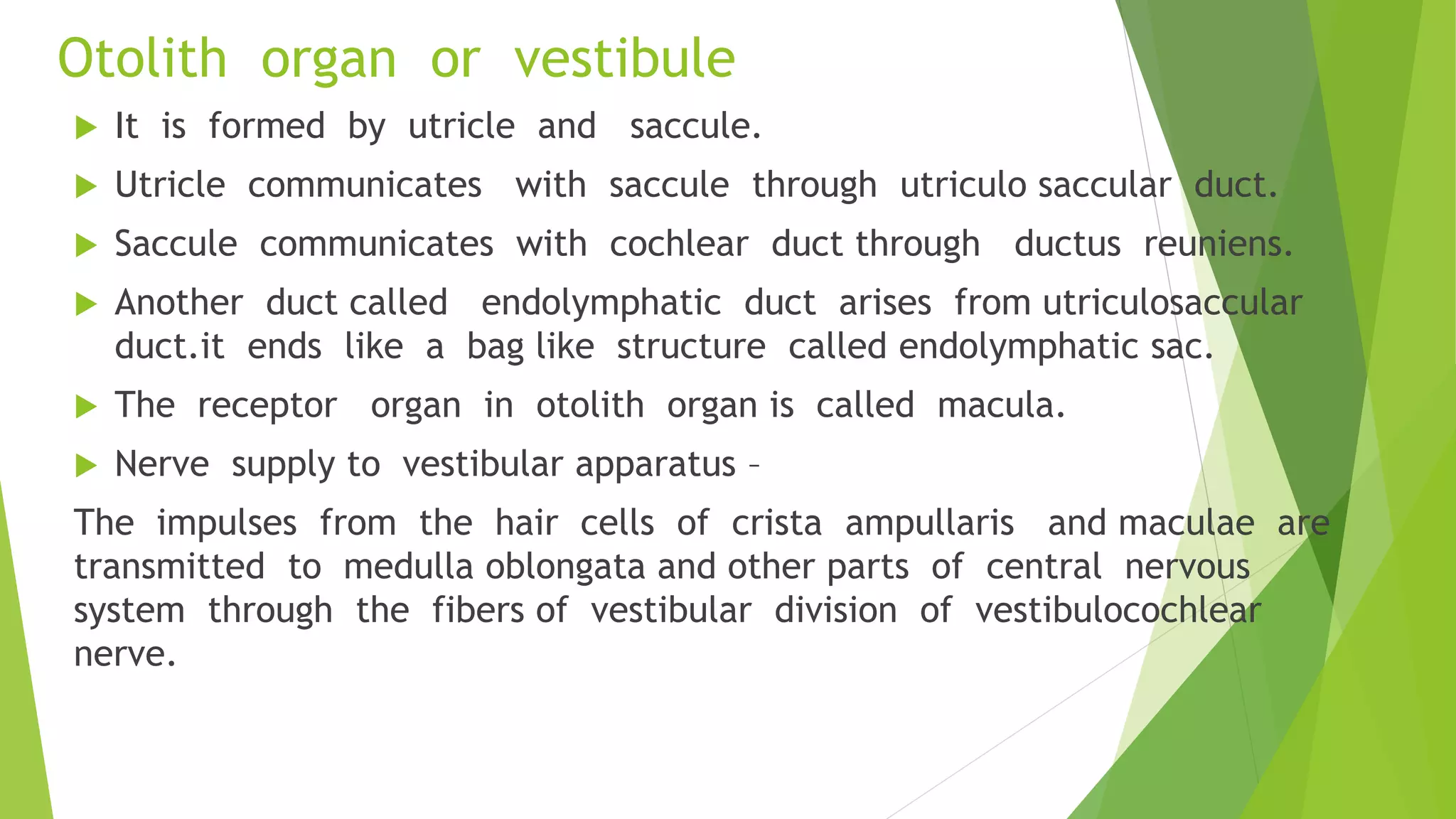 Physiology of ear | PPTX