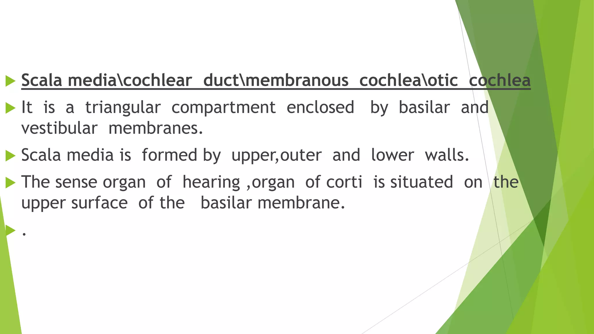 Physiology of ear | PPTX