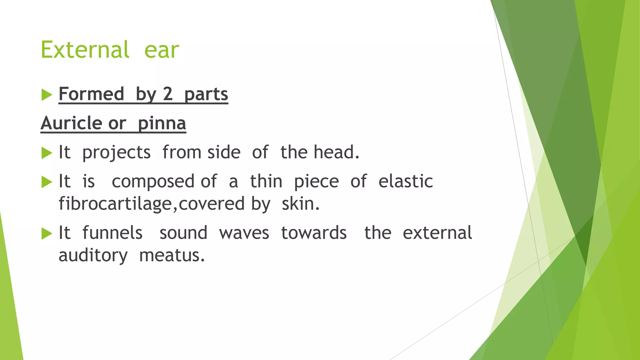 Physiology of ear | PPTX