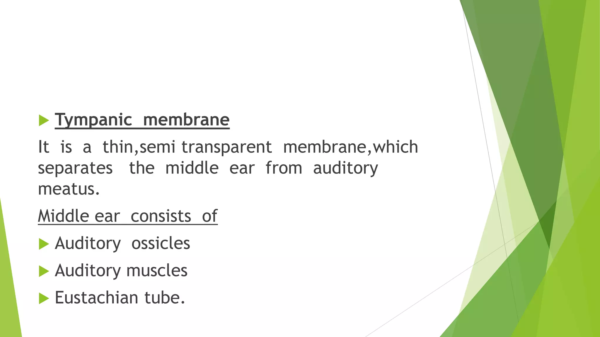 Physiology of ear | PPTX | Ear, Nose and Throat Conditions | Diseases ...