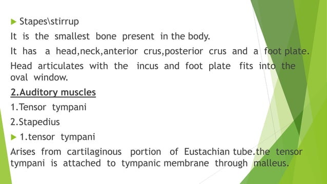 Physiology of ear | PPTX | Ear, Nose and Throat Conditions | Diseases ...