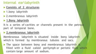 Physiology of ear | PPTX
