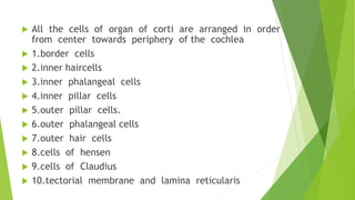 Physiology of ear | PPTX