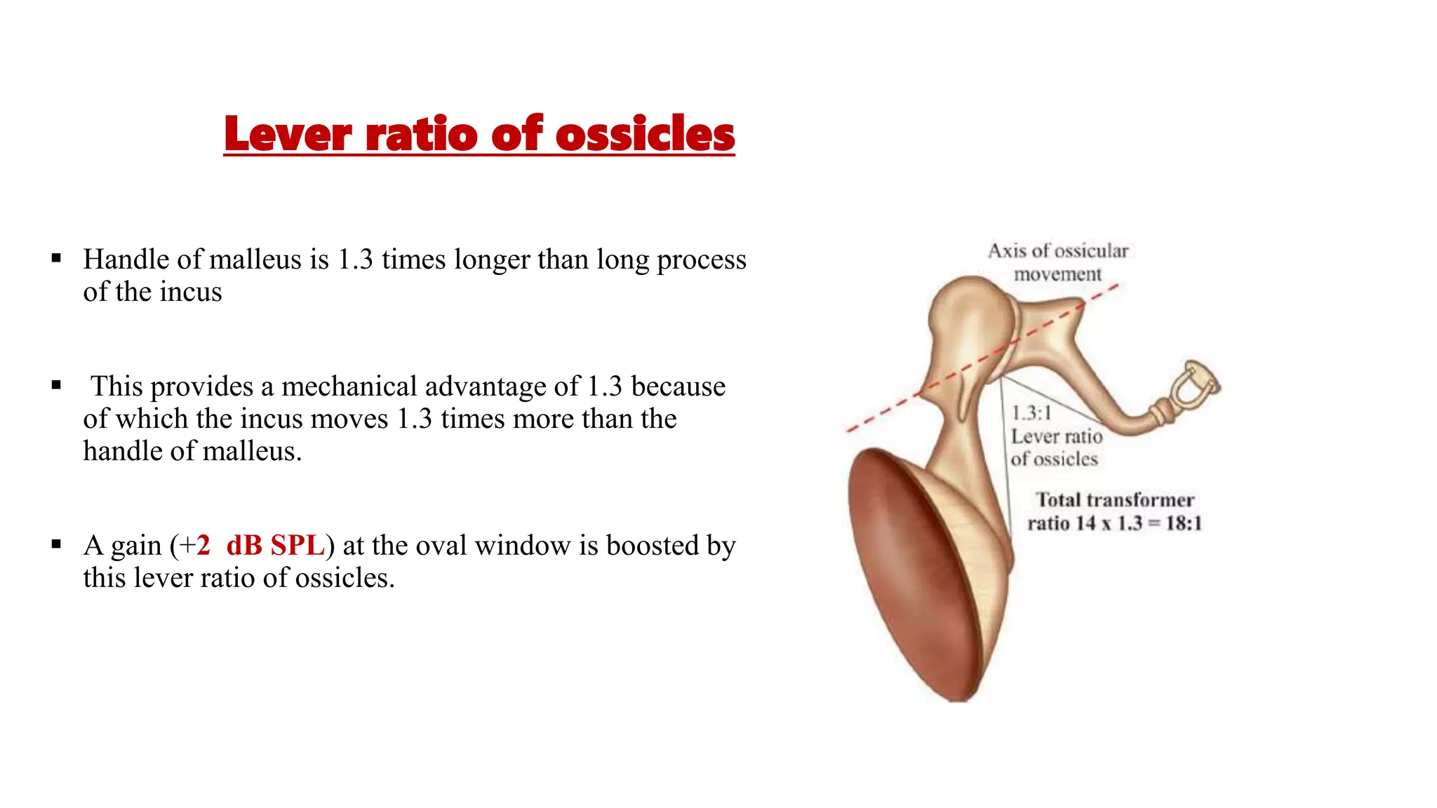 Physiology of ear UG.pptx