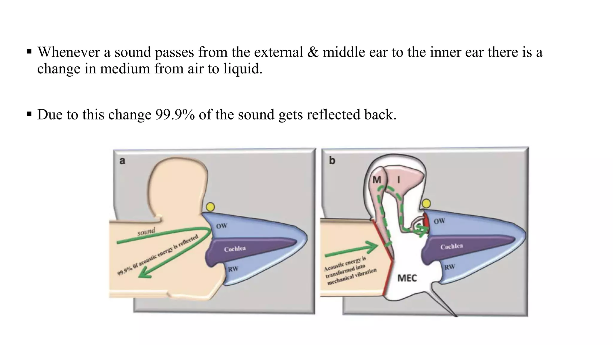 Physiology of ear UG.pptx | Digital Audio | Computer Software and Applications