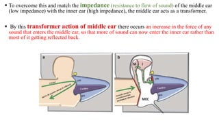 Physiology of ear UG.pptx | Digital Audio | Computer Software and Applications