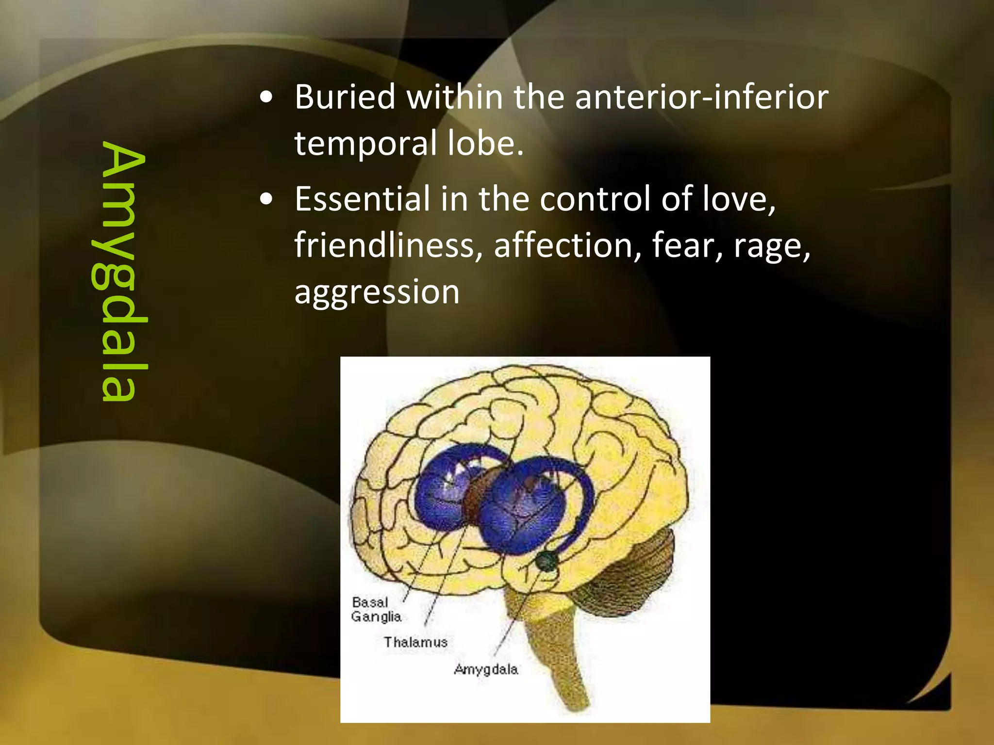 Physiology of emotion | PPTX
