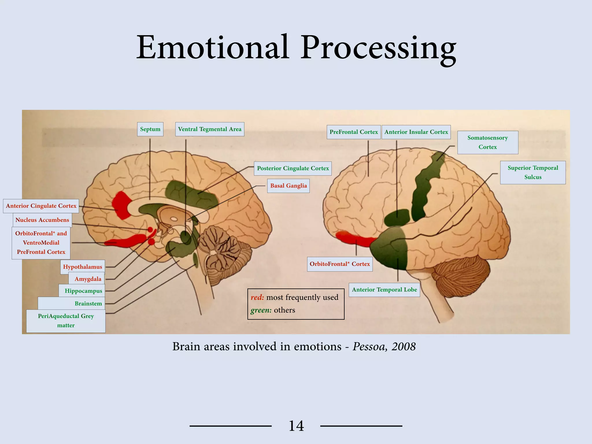 Physiology of Emotion | PDF