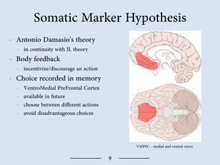 Physiology of Emotion | PDF
