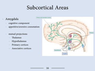 Physiology of Emotion | PDF