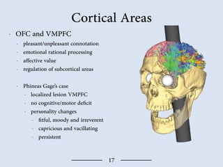 Physiology of Emotion | PDF