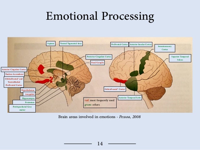 Physiology of Emotion