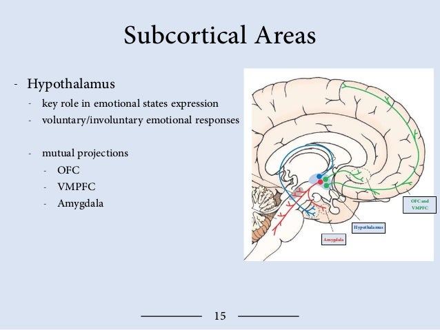 Physiology of Emotion