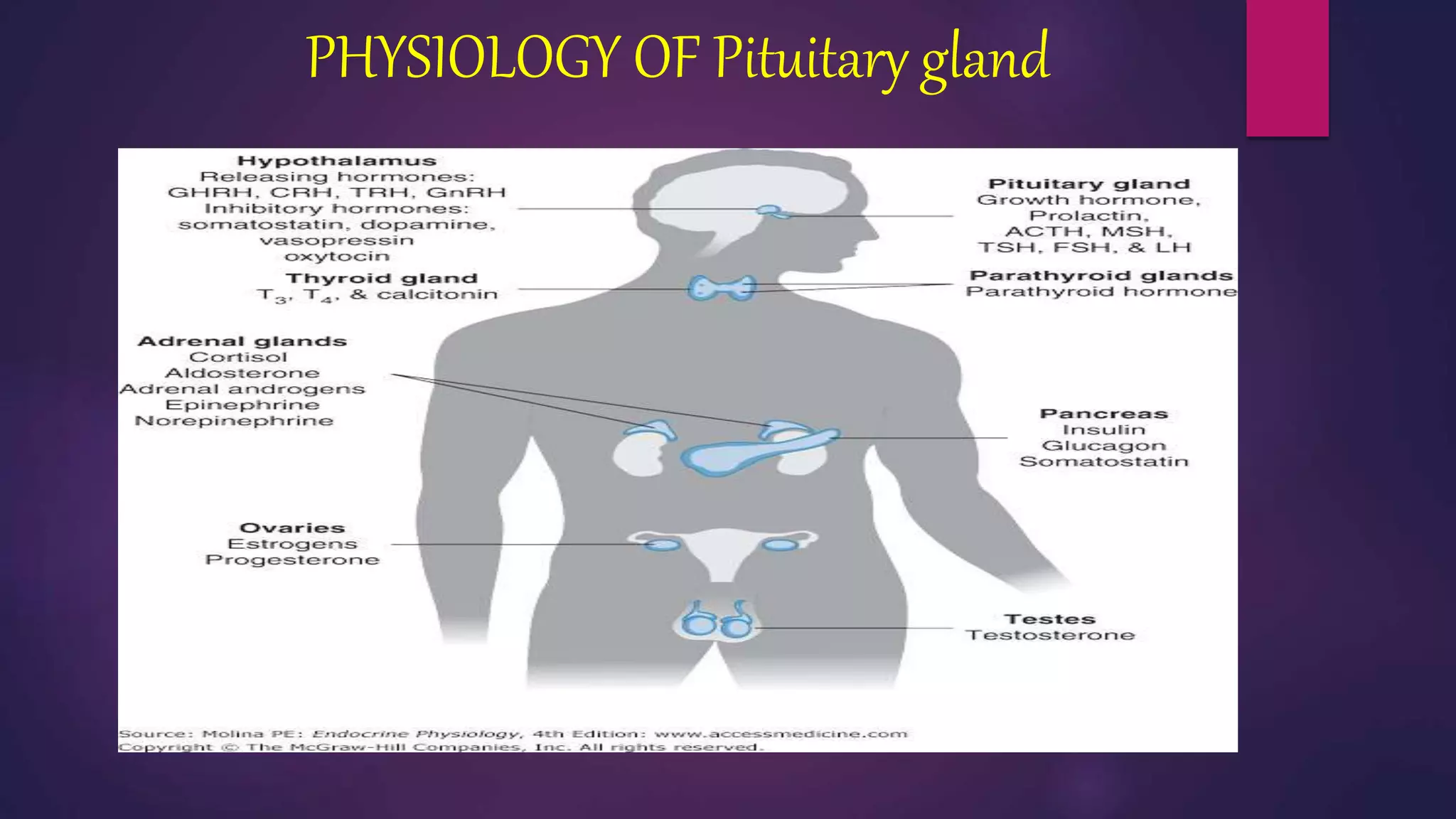 Physiology of pituitary gland | PPTX