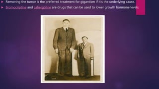 Physiology of pituitary gland | PPTX