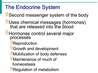 A Detailed Physiology of Endocrine System.pptx