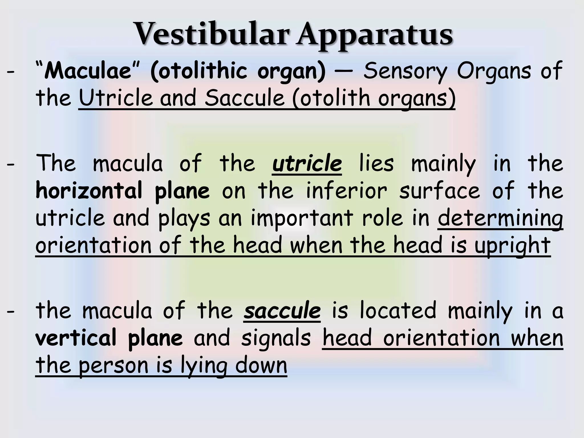 Physiology of equilibrium | PPTX