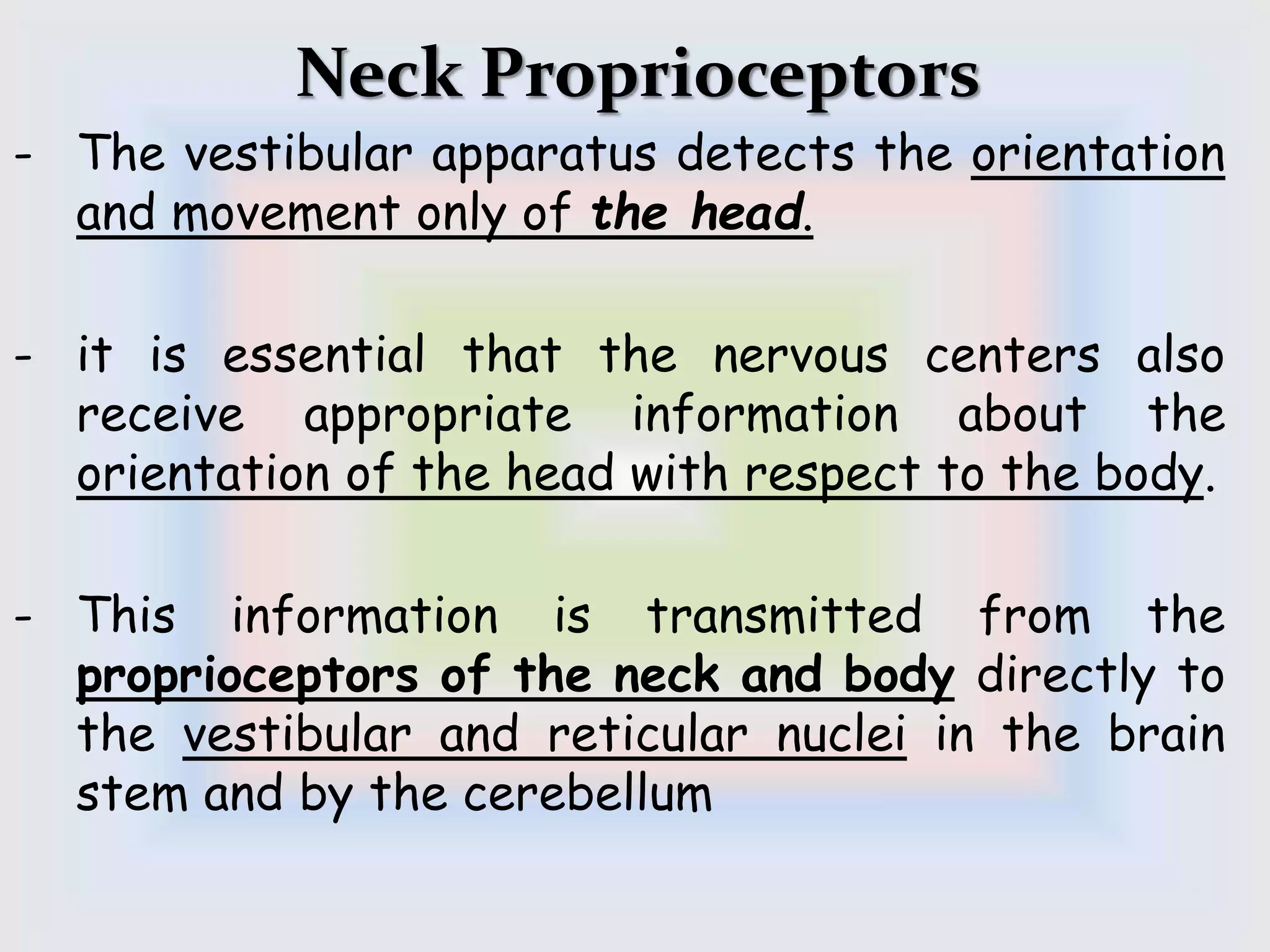 Physiology of equilibrium | PPTX