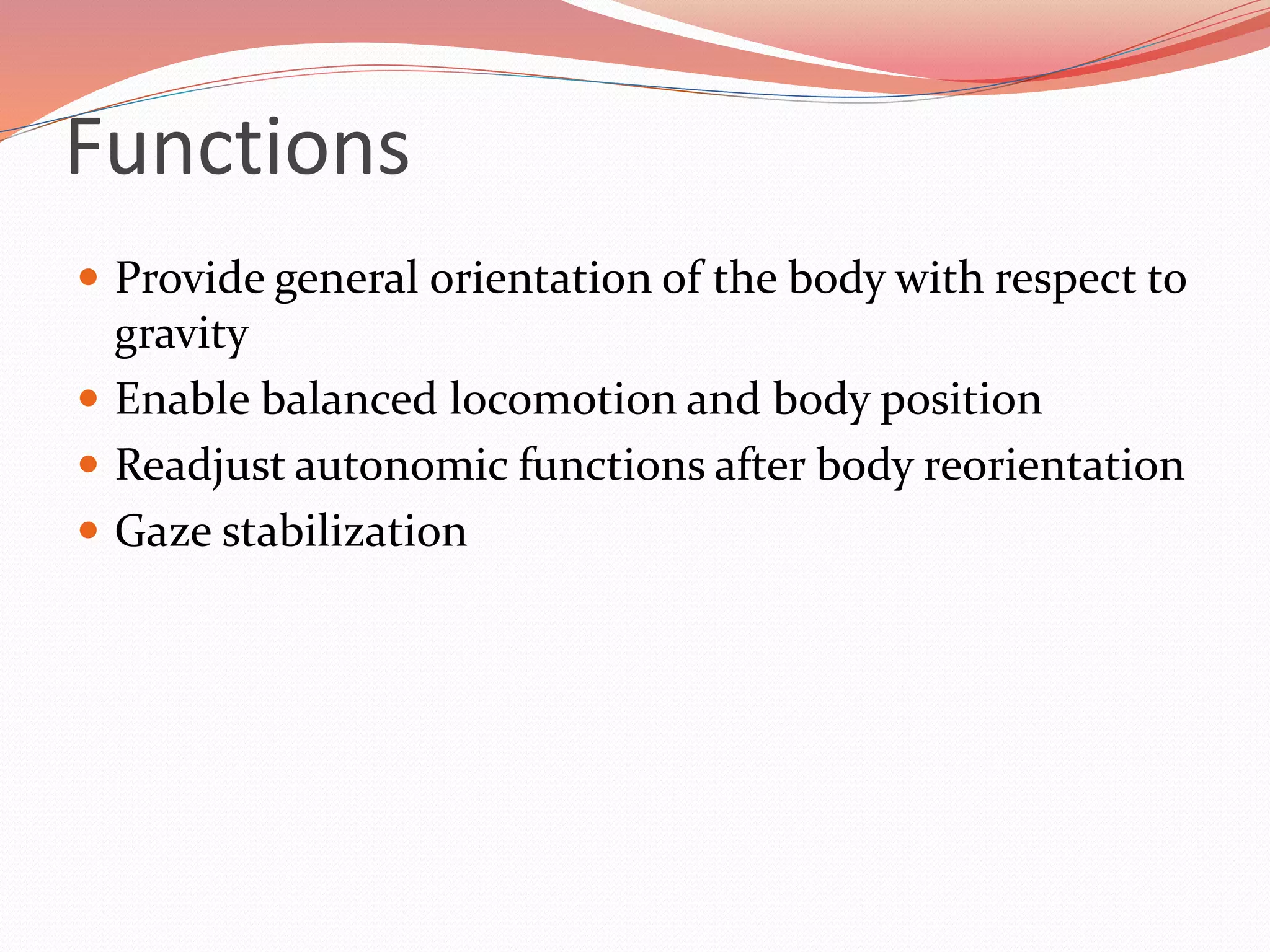 Physiology of equilibrium | PPTX | Brain and Nervous System Disorders ...