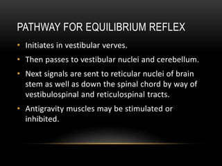 Physiology of equilibrium - Vestibular System | PPTX
