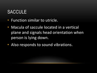 Physiology of equilibrium - Vestibular System | PPTX