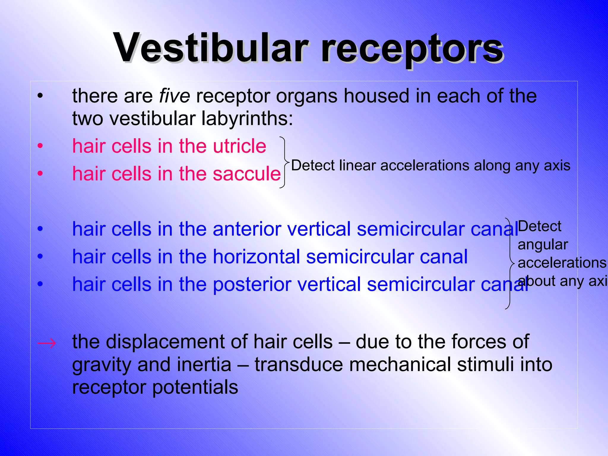 Physiology of equilibrium & balance | PPT