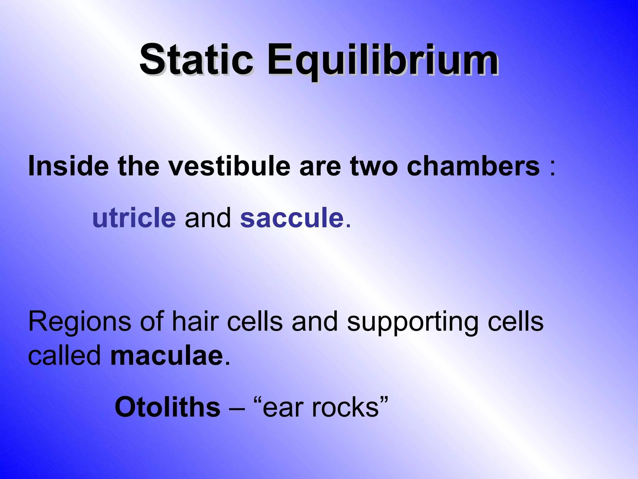 Physiology of equilibrium & balance | PPT