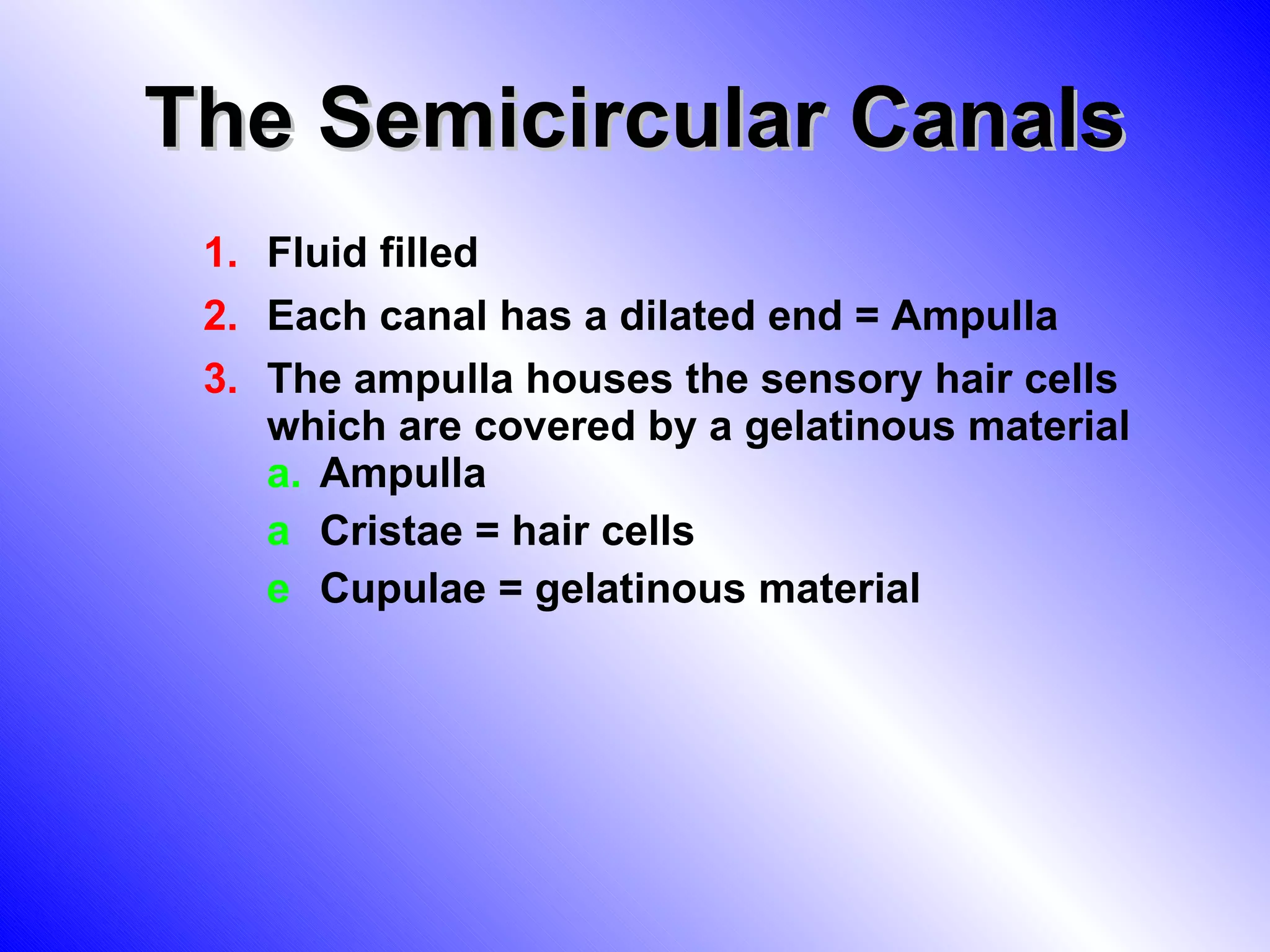 Physiology of equilibrium & balance | PPT
