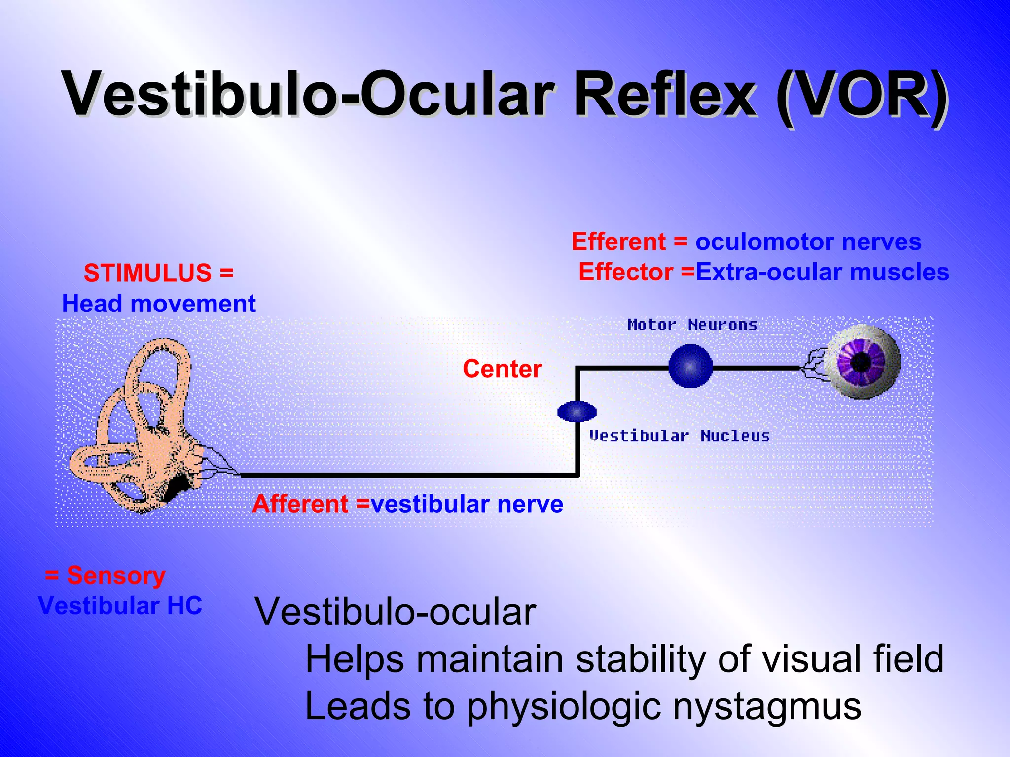 Physiology of equilibrium & balance | PPT