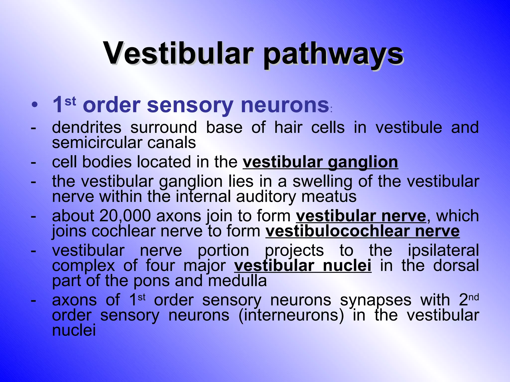 Physiology of equilibrium & balance | PPT